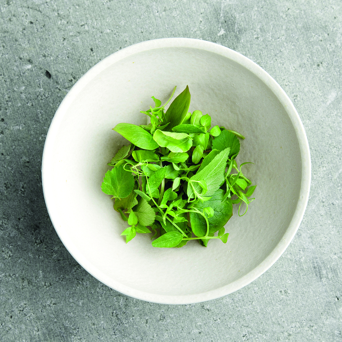 Raw cod and weeds | FOUR Magazine