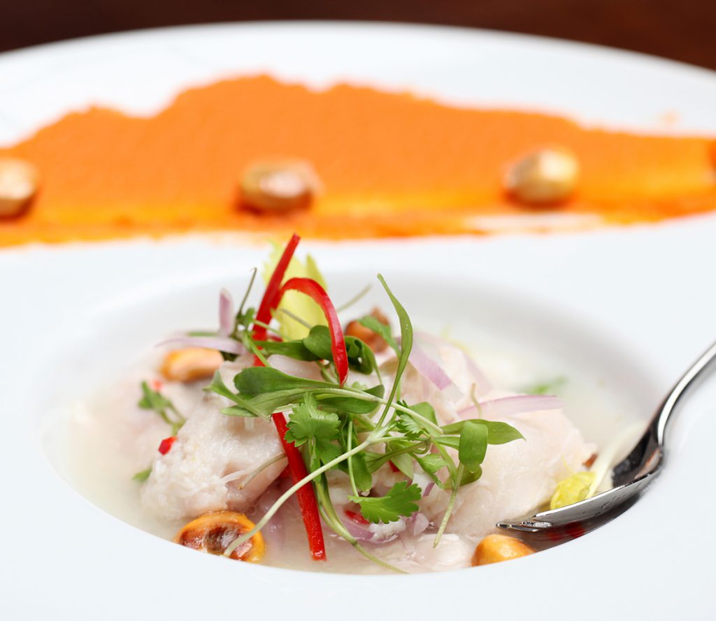 Pía León | FOUR Magazine