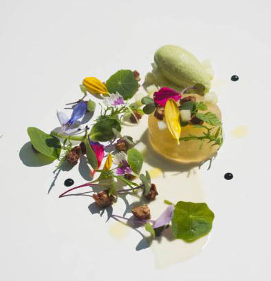 Elena Rizzo's Instagram, Twitter & Facebook on IDCrawl