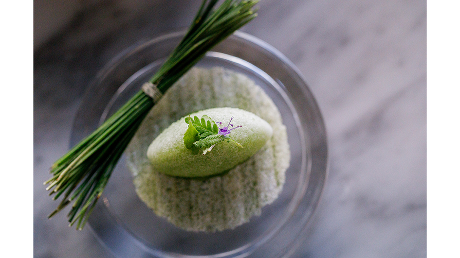 FOUR Magazine | Pine Needle