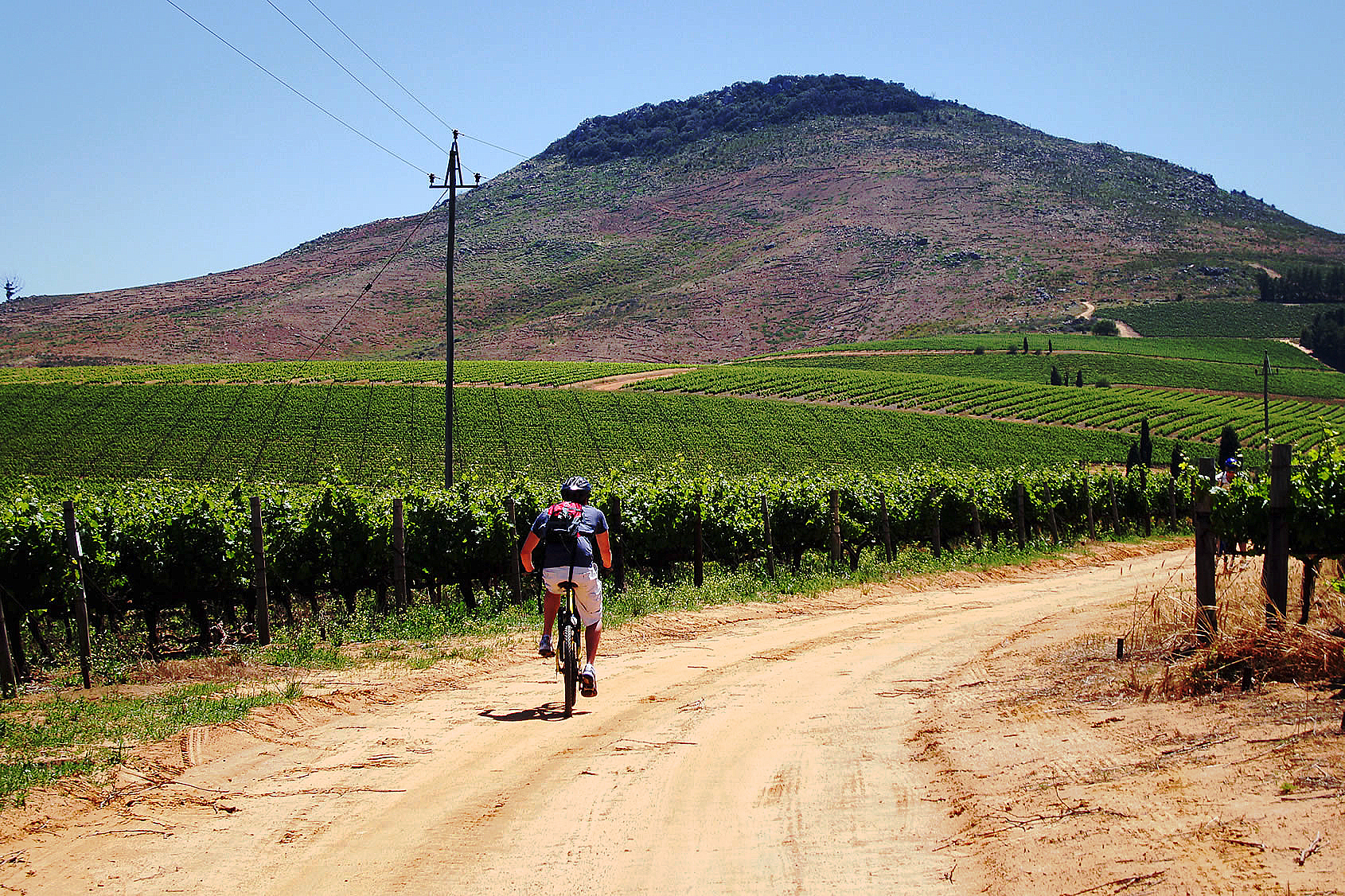 Vineyard cycling in Stellenbosch | FOUR Magazine