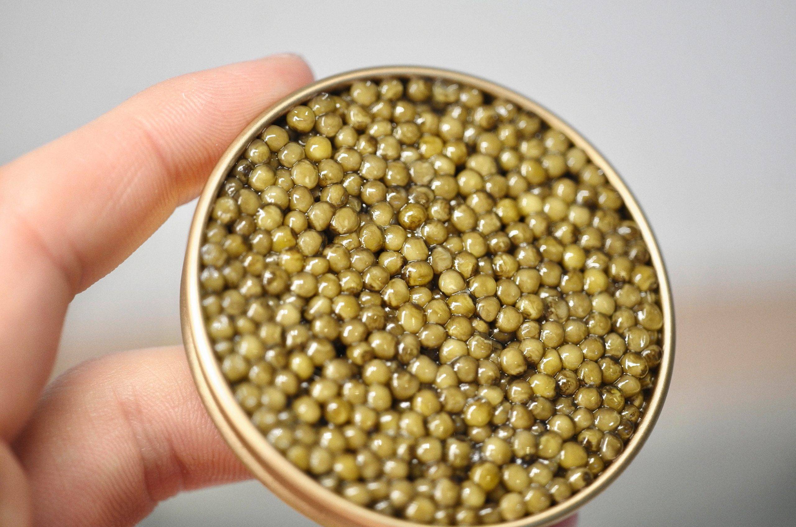 Spoonfuls of Splendor: N25 Caviar | FOUR Magazine