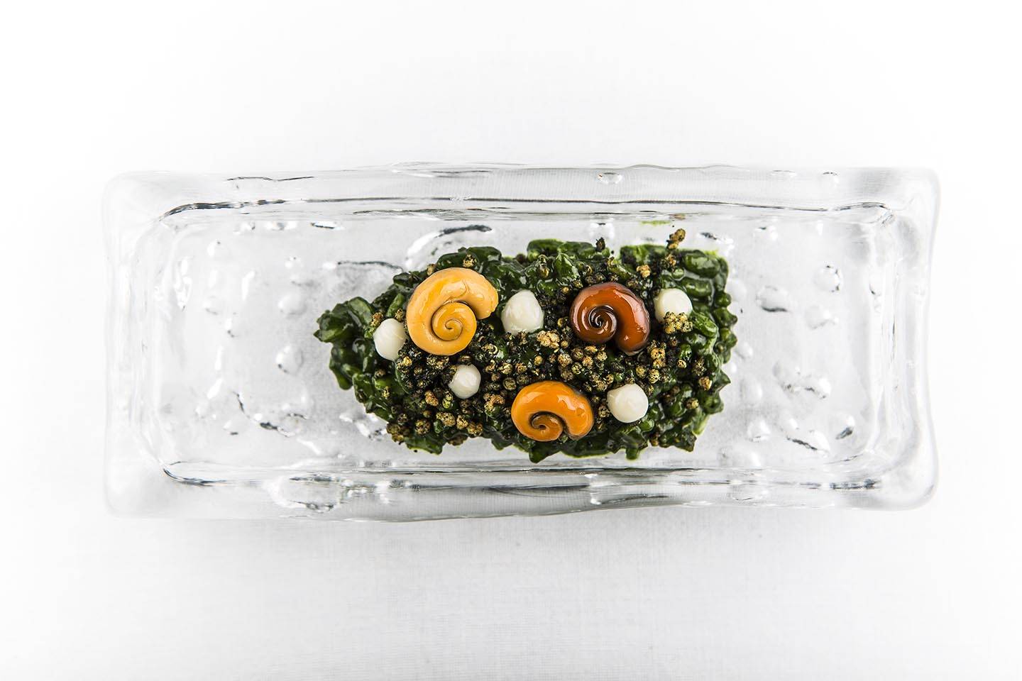 Ángel León’s Plankton Rice