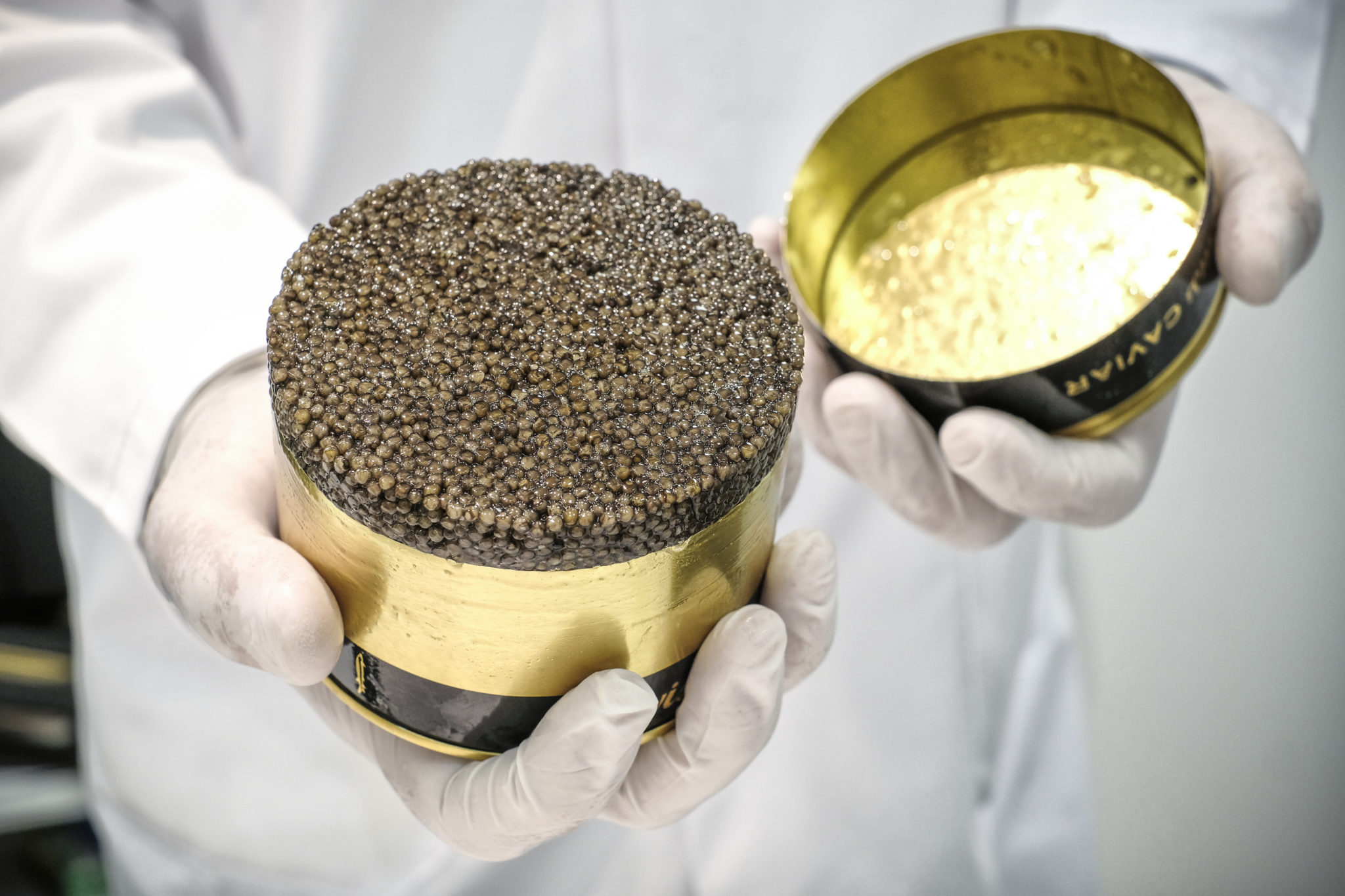 The World’s Finest Caviar | FOUR Magazine