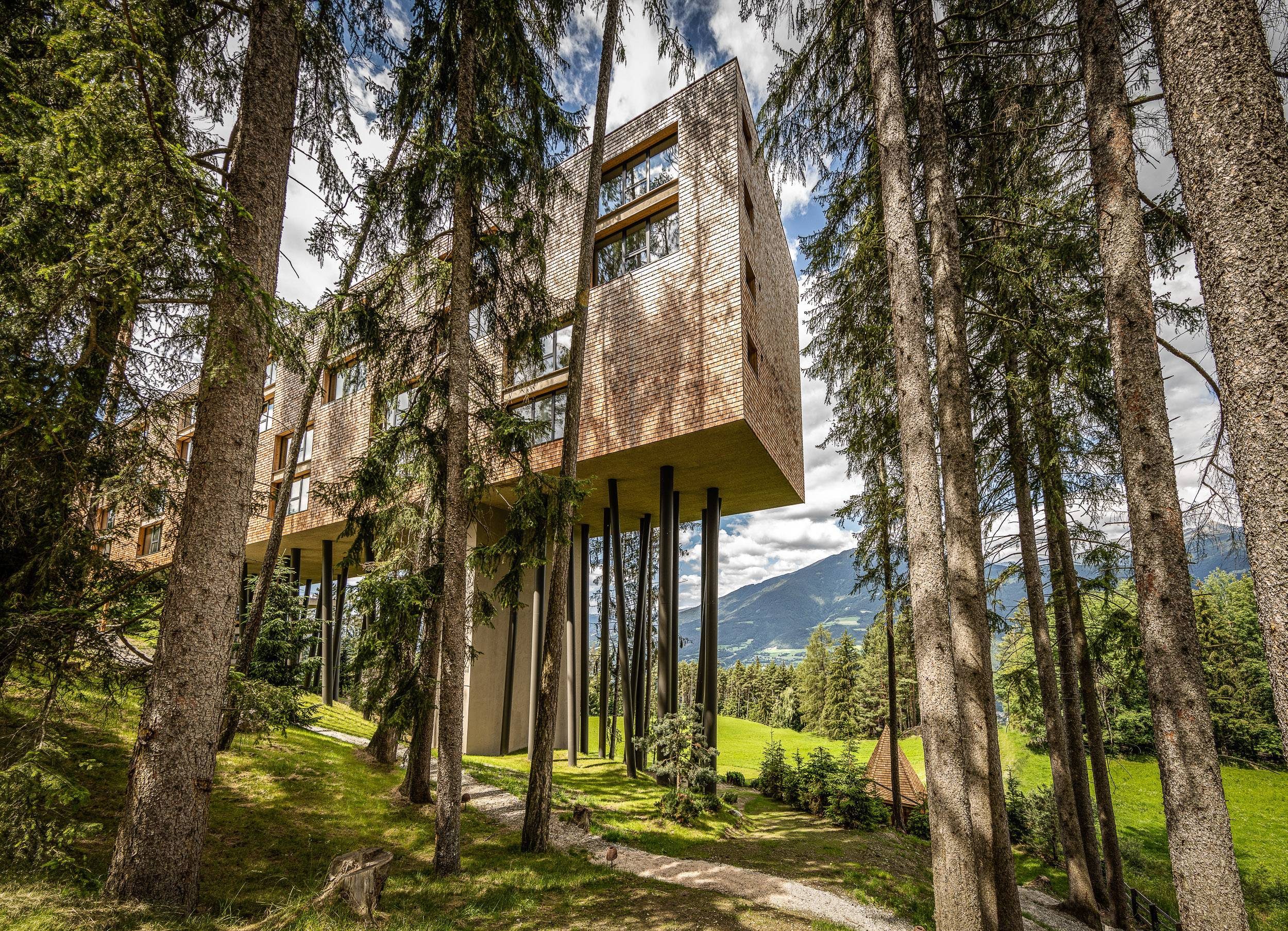 My Arbor: Where Nature and Luxury Unite