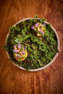 Third Time’s the Charm: Angelo Sato Opens Humble Chicken 3.0